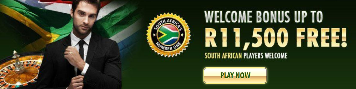 Springbok Casino Login Process & What You Get Once You Sign Up